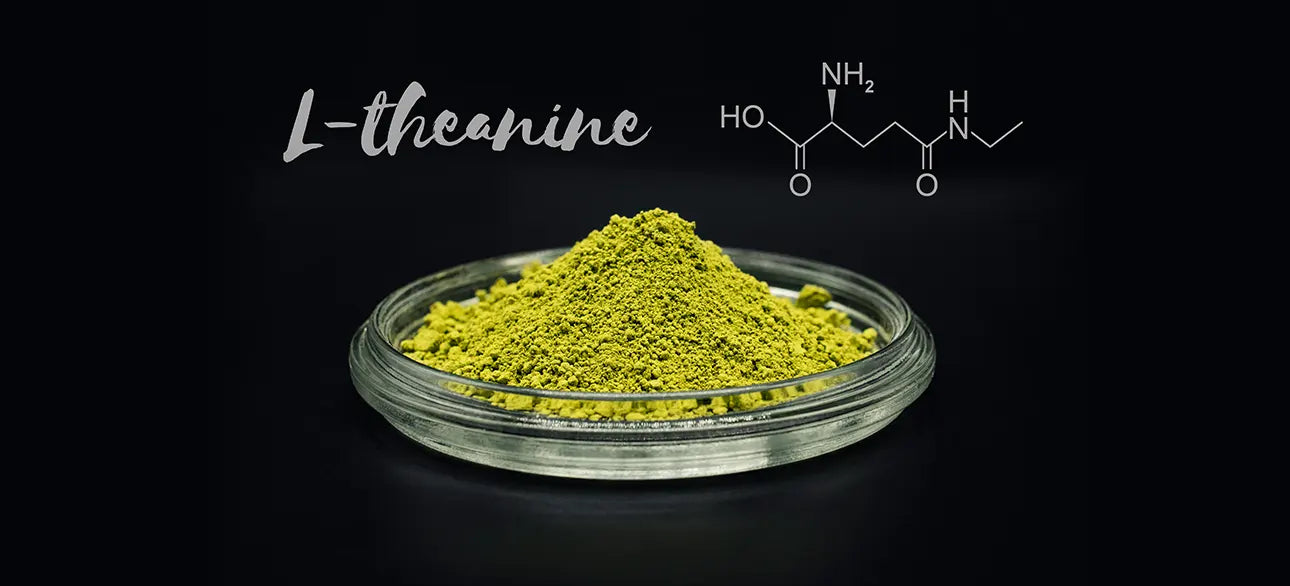 Is L-Theanine Right for You? Benefits and Safety